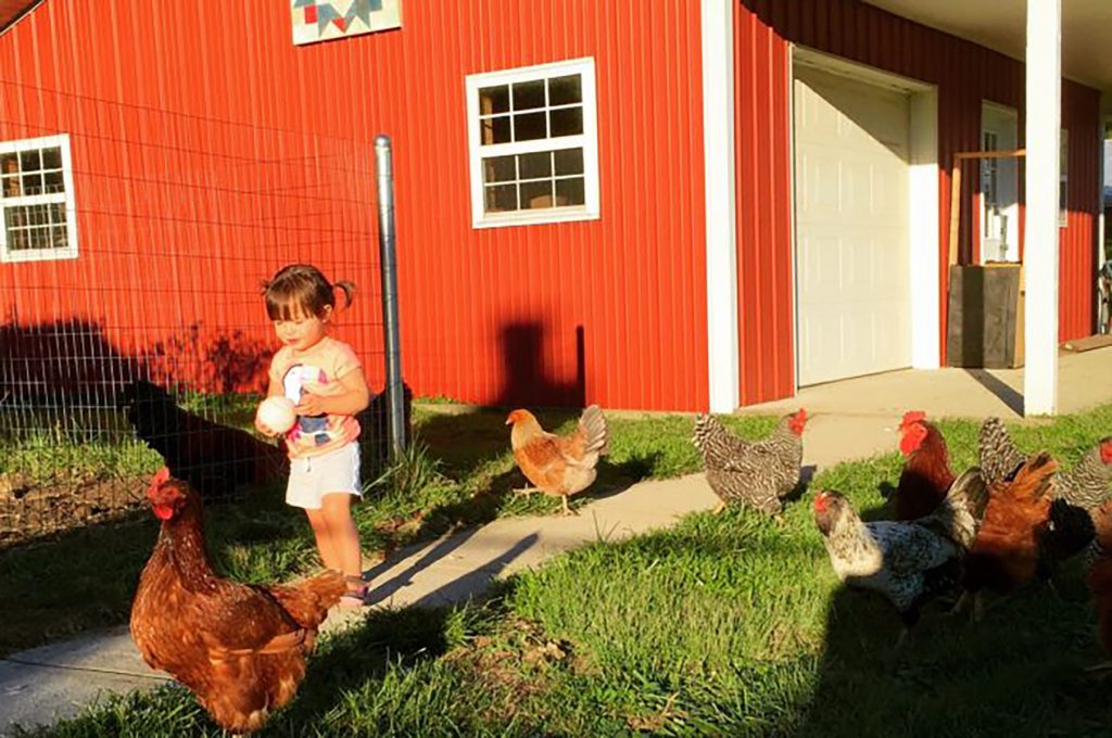 Raising Chickens and Children - Backyard Poultry